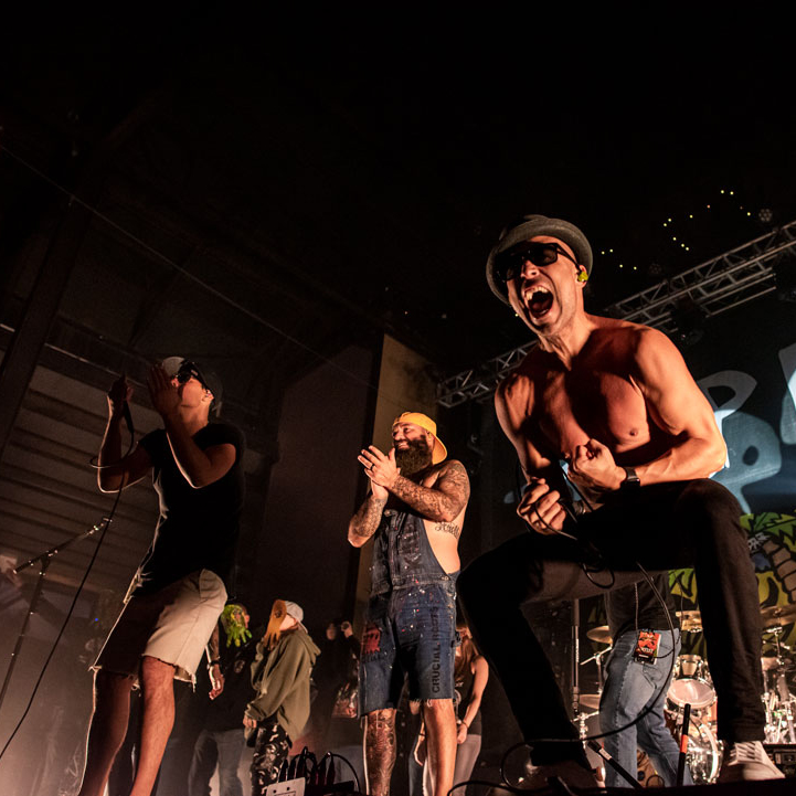 Pepper parties hard at sold out St. Pete show - Top Shelf Music