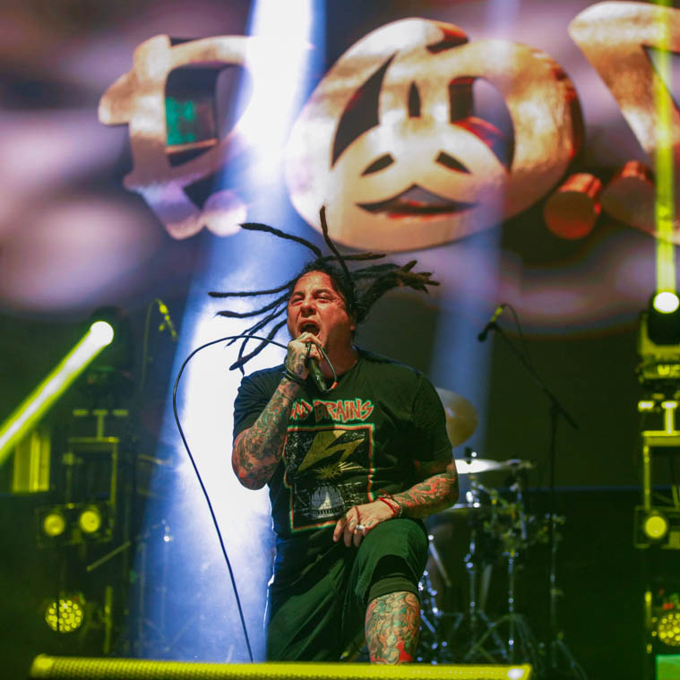 Rebel Rock Festival 2021 - Top Shelf Music