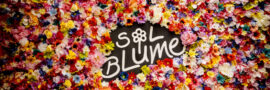 Sol Blume announces 2023 festival lineup - Top Shelf Music