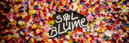 Sol Blume announces 2023 festival lineup - Top Shelf Music